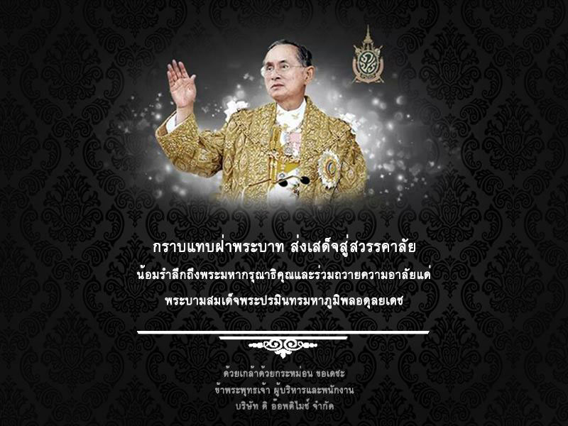 The Optimize Organizer